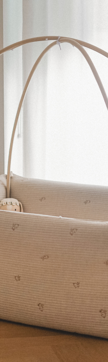 Little Baby Official Store Singapore | Shop Baby & Mommy Products